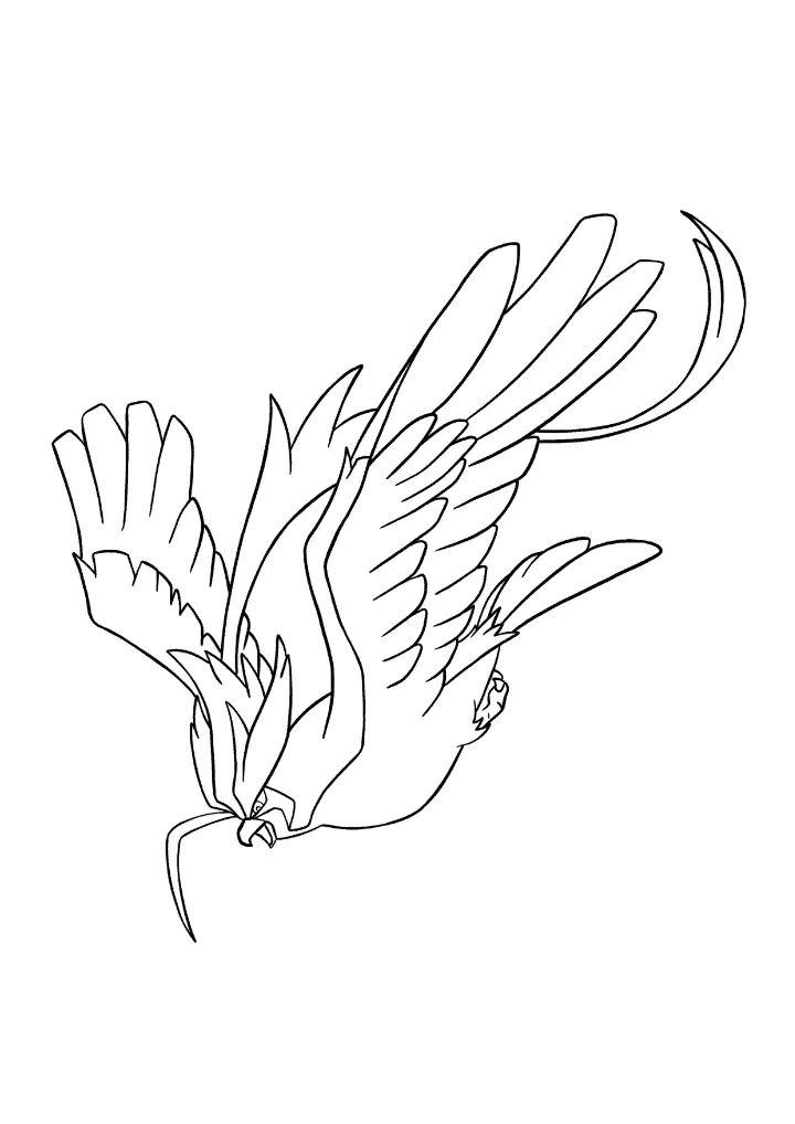 pokemon pidgeotto coloring pages